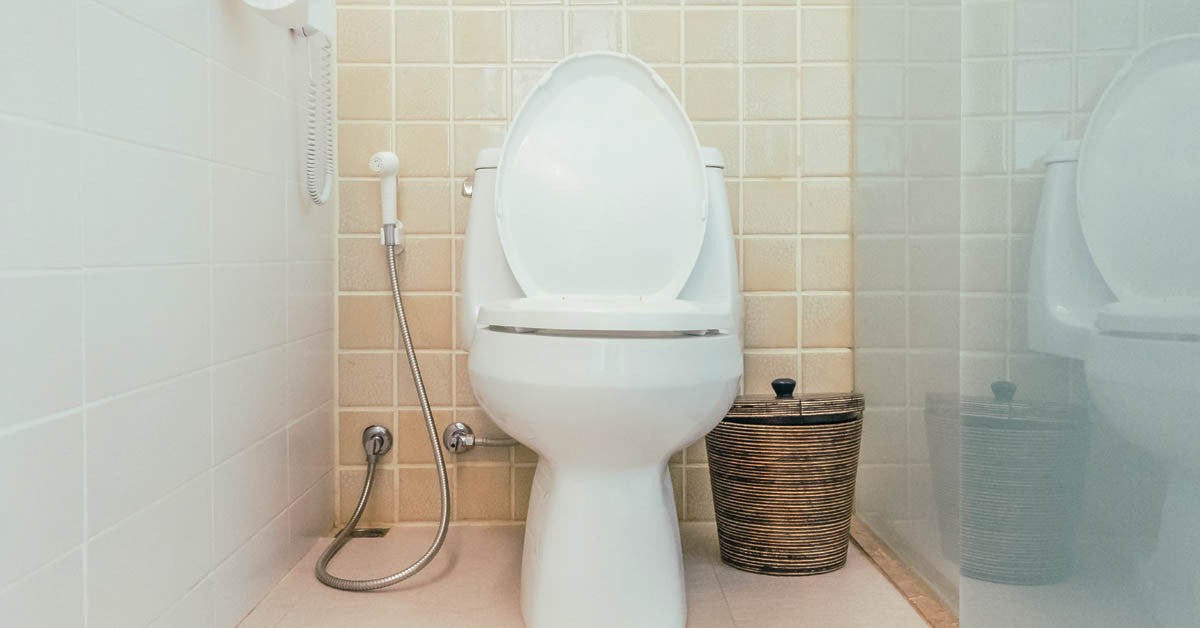Fixing Bathroom Problems: Common Causes of Toilet Not Flushing Properl